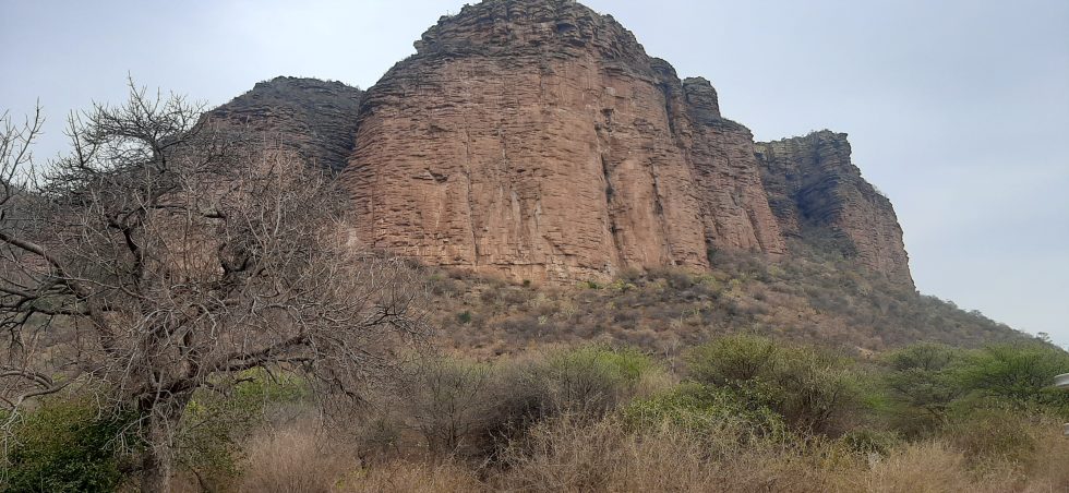 FBIP Waterberg Biodiversity Project reminds us what the programme is ...