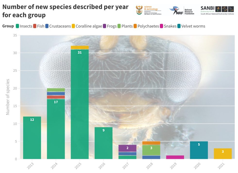 New species: nearly 100 in 9 years for FBIP and why it’s important - FBIP